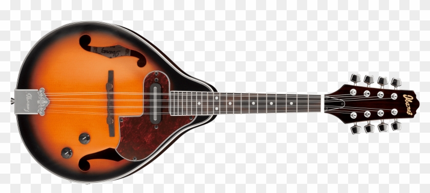 Mandolin String Instruments, HD Png Download - 2600x862(#625838) - PngFind