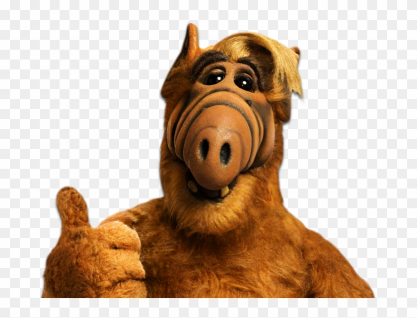 Animalalf - Alien Alf, HD Png Download - 688x562(#6213374) - PngFind