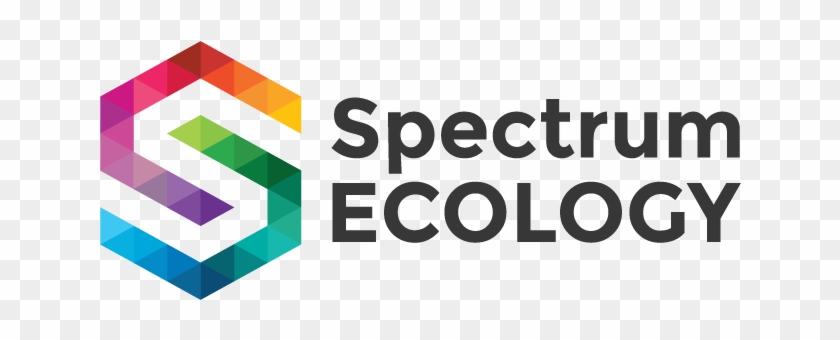 Spectrum Logo Png, Transparent Png - 720x480(#6214298) - PngFind