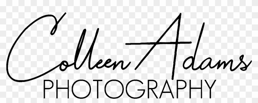 Colleen Adams Photography - Calligraphy, HD Png Download - 1500x900 ...