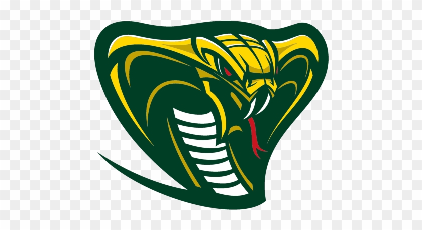 Cobra - Cobra Logo Transparent, HD Png Download - 800x800(#6243644) - PngFind