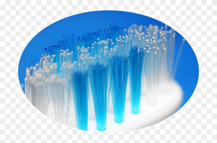 Color Bristle Toothbrush - Bristles On A Toothbrush, HD Png Download ...