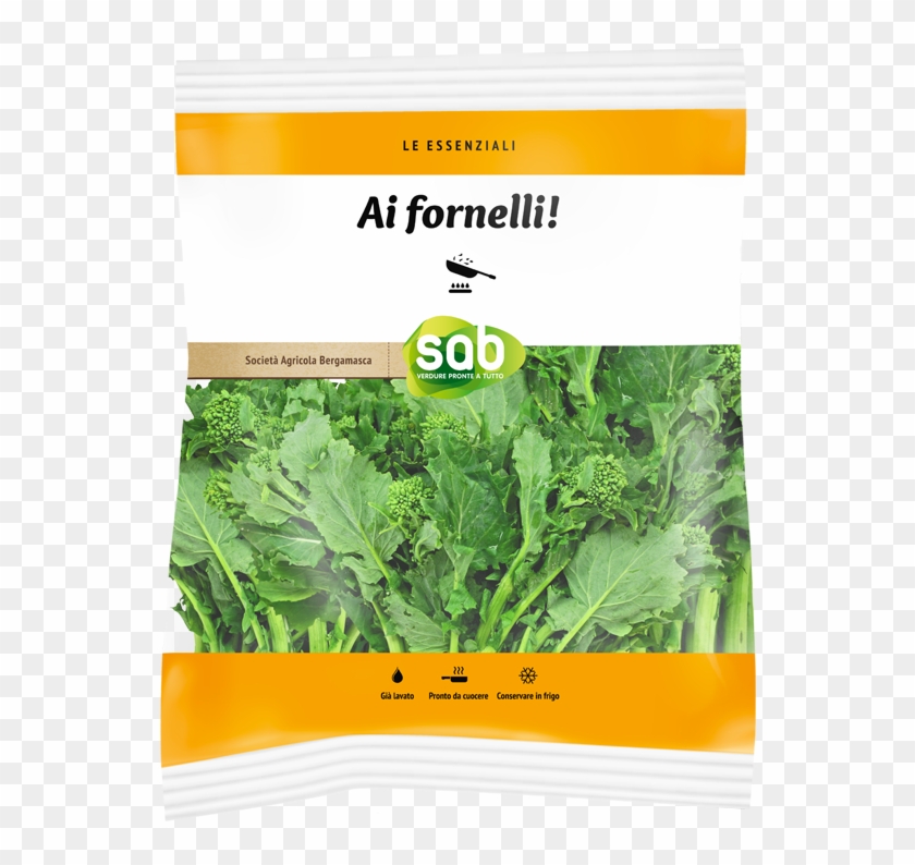 Arugula, HD Png Download - 700x730(#6254061) - PngFind