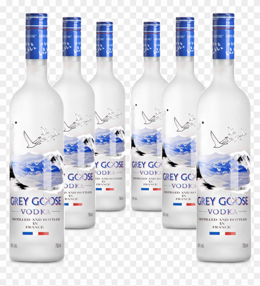 Grey Goose Png - Green Goose Vodka, Transparent Png - 1000x1000 ...