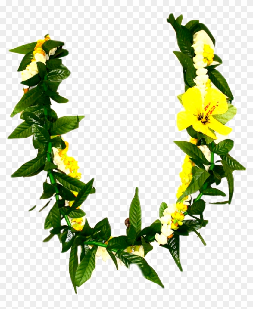 #lei #hawaiian #hawaii - Lei, HD Png Download - 1024x1204(#6311610 ...