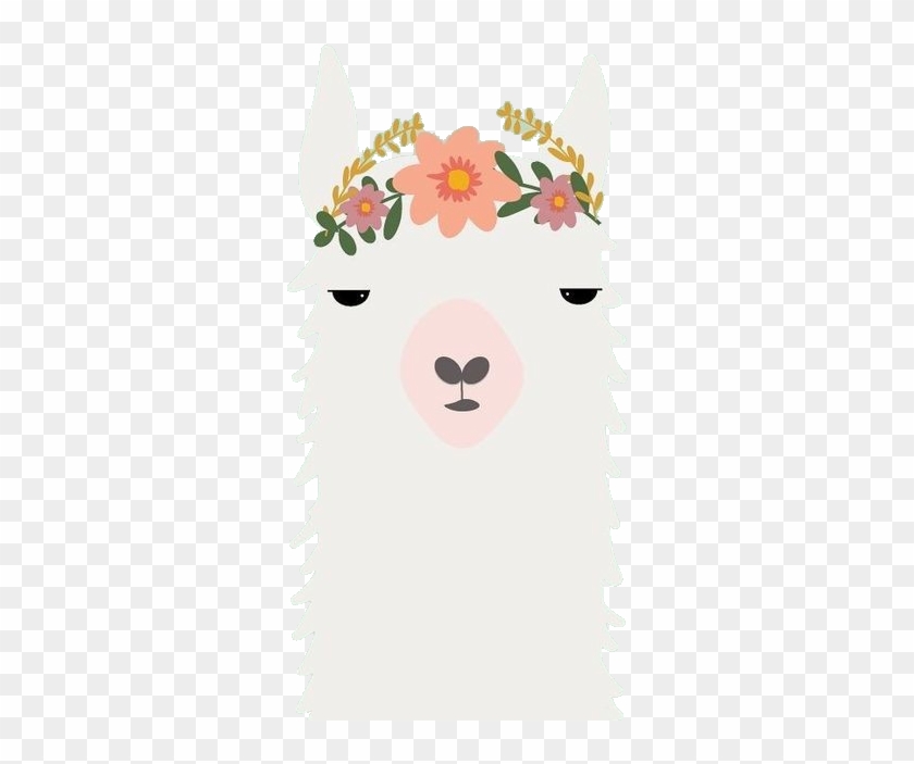 #llamas #alpacasandllamas #alpacas #alpaca #pictureoftheday - Llama ...