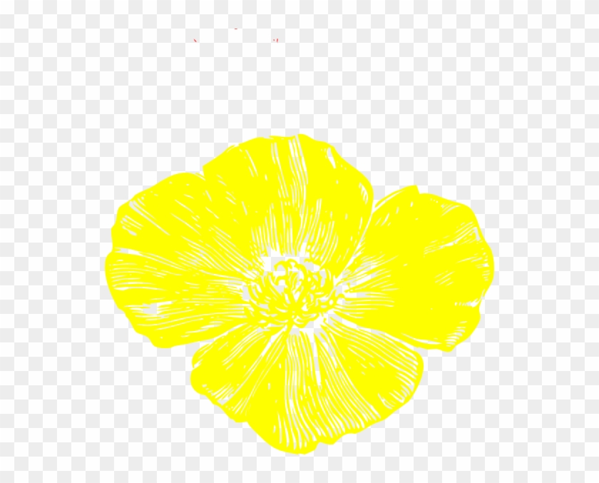 Original Png Clip Art File Yellow Poppy Svg Images - Golden Poppy Clip ...