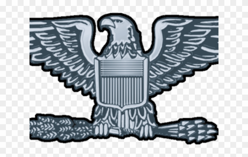 Cornol Clipart Bird - Army Colonel Insignia, HD Png Download - 640x480 ...