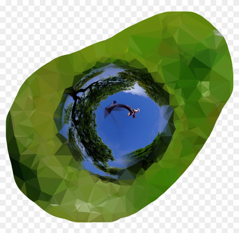 Reflection , Png Download - Reflection, Transparent Png - 1024x947 ...