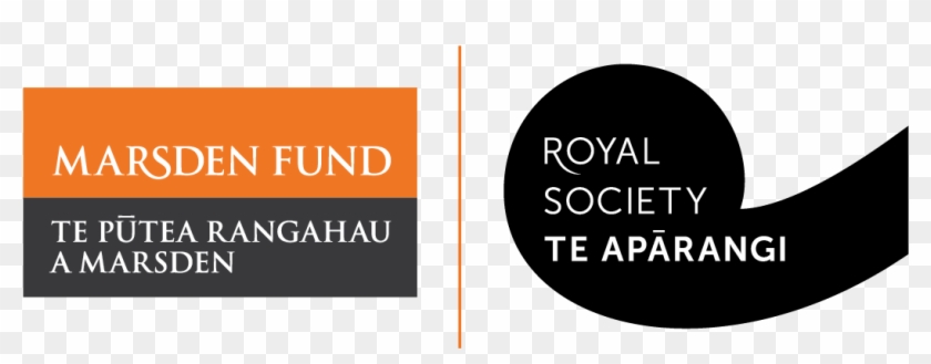 Marsden Logo Rgb 300dpi, Png - Marsden Fund, Transparent Png - 1128x400 ...