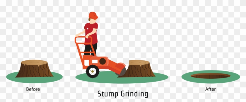 An Illustration Demonstrating Stump Grinding In Southampton, - Cartoon ...