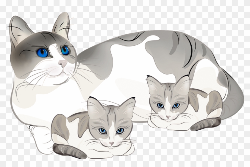 Kitten Clipart
