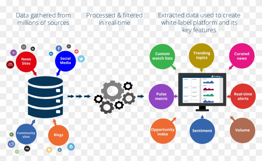 Digital Contact's White Label Solution - Big Data Analytics Features ...