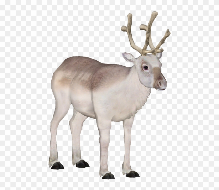 Caribou Png - Peary Caribou Png, Transparent Png - 649x649(#6418691 ...