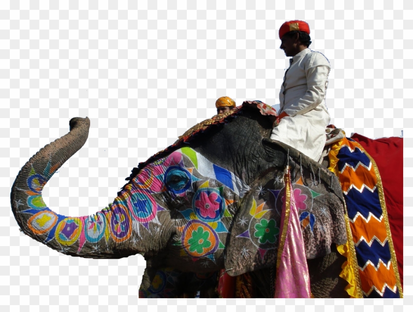 Indian Elephant, HD Png Download - 1600x1200(#6419250) - PngFind