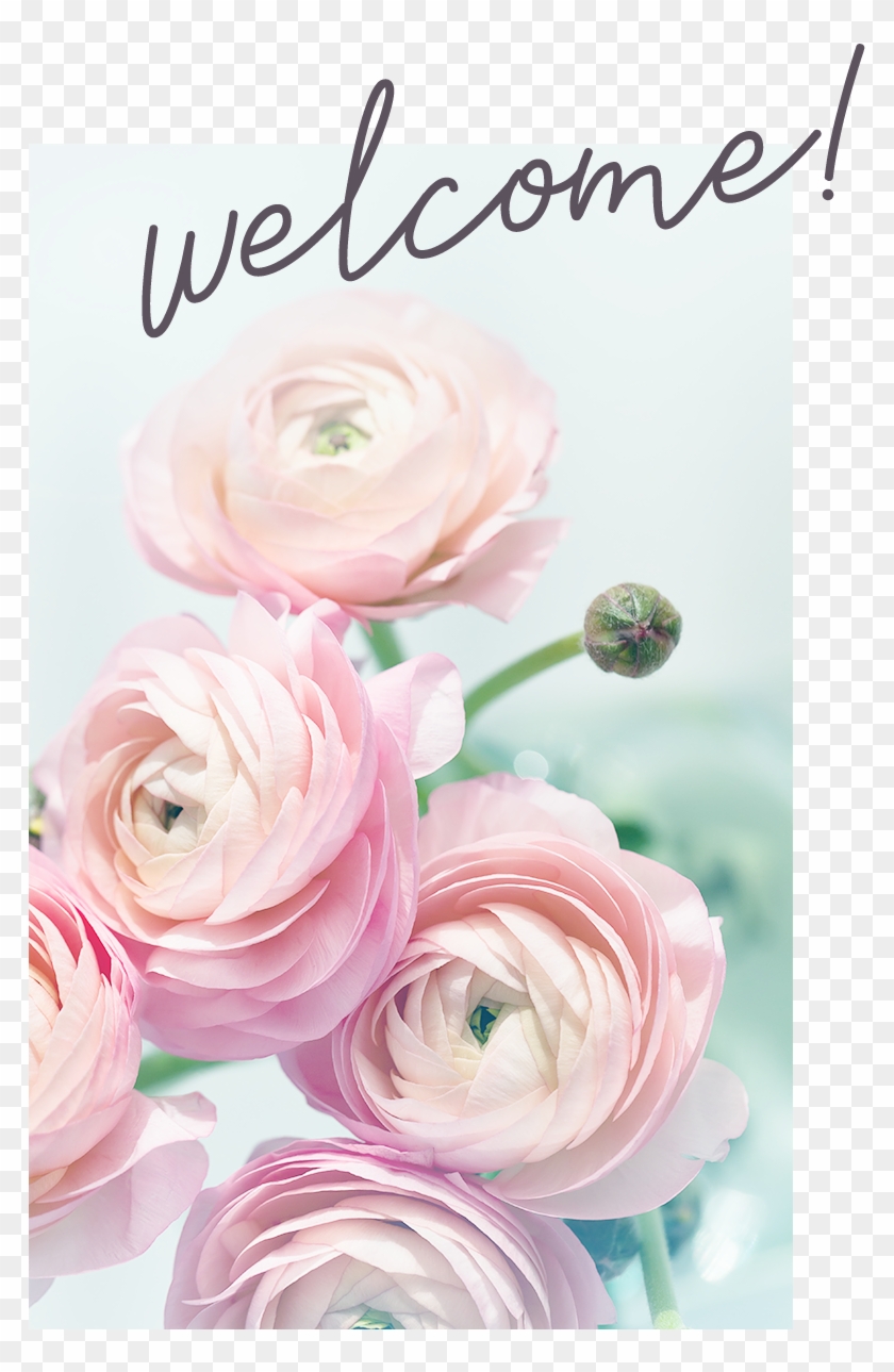Welcome Images With Flowers Hd