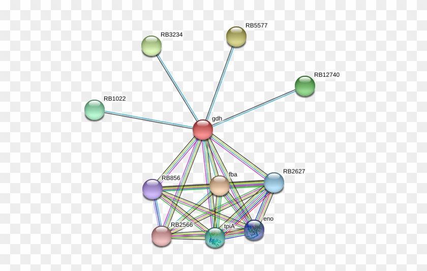 Circle, HD Png Download - 976x490(#6434944) - PngFind