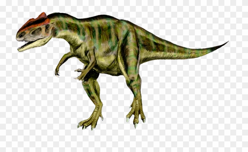 Allosaurus 2 - Allosaurus Png, Transparent Png - 735x436(#6440274 ...