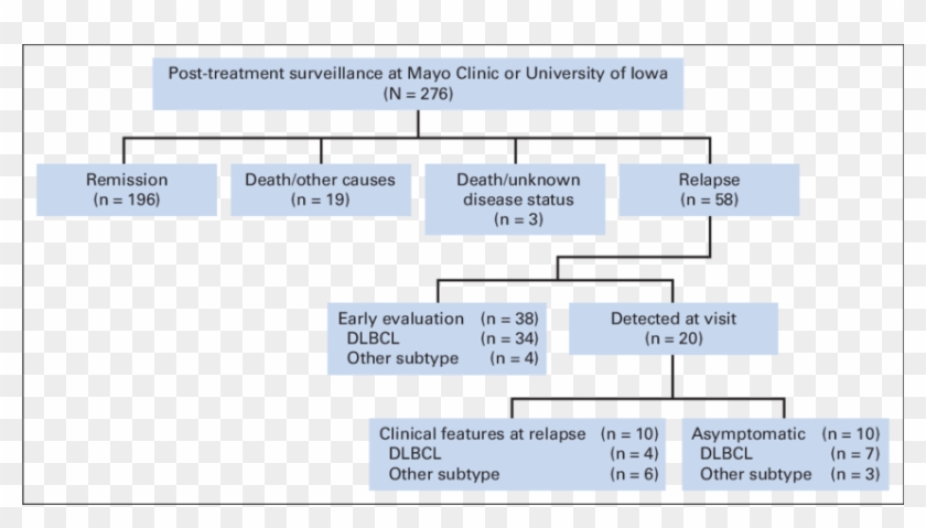 Flowchart In Patients Followed At Mayo Clinic Or University ...