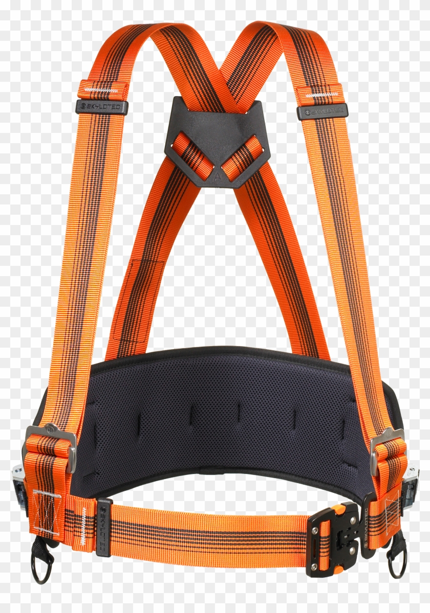 Tool Belt Png, Transparent Png - 1772x2447(#6454073) - PngFind