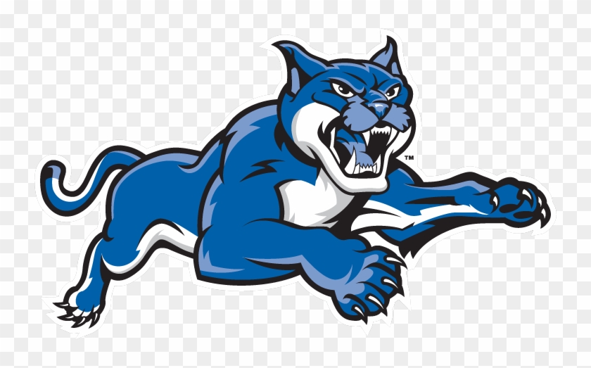Animated Wildcat Mascot Clipart