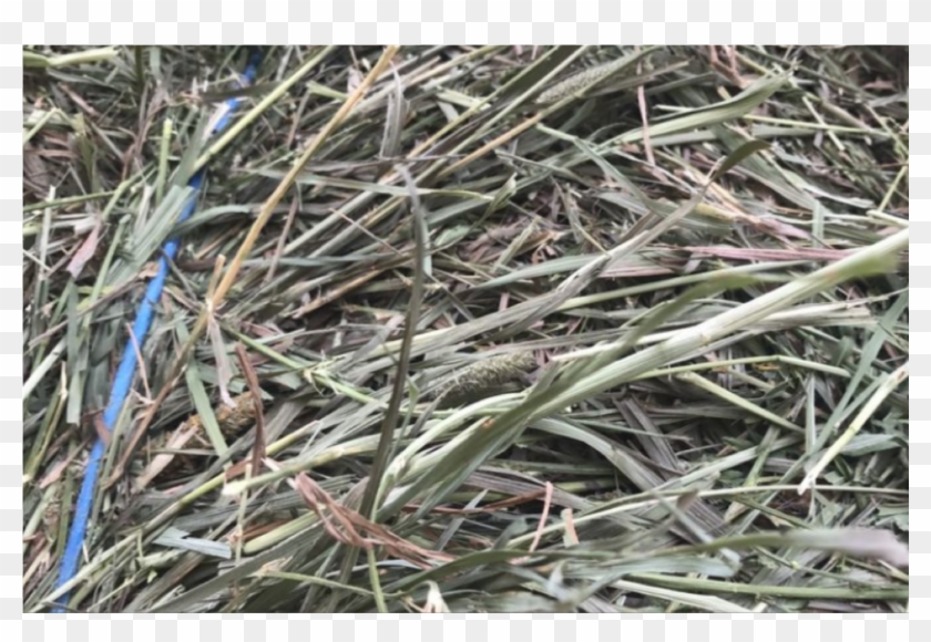 Meadow Hay Square Bales - Camouflage, HD Png Download - 1334x1334 ...