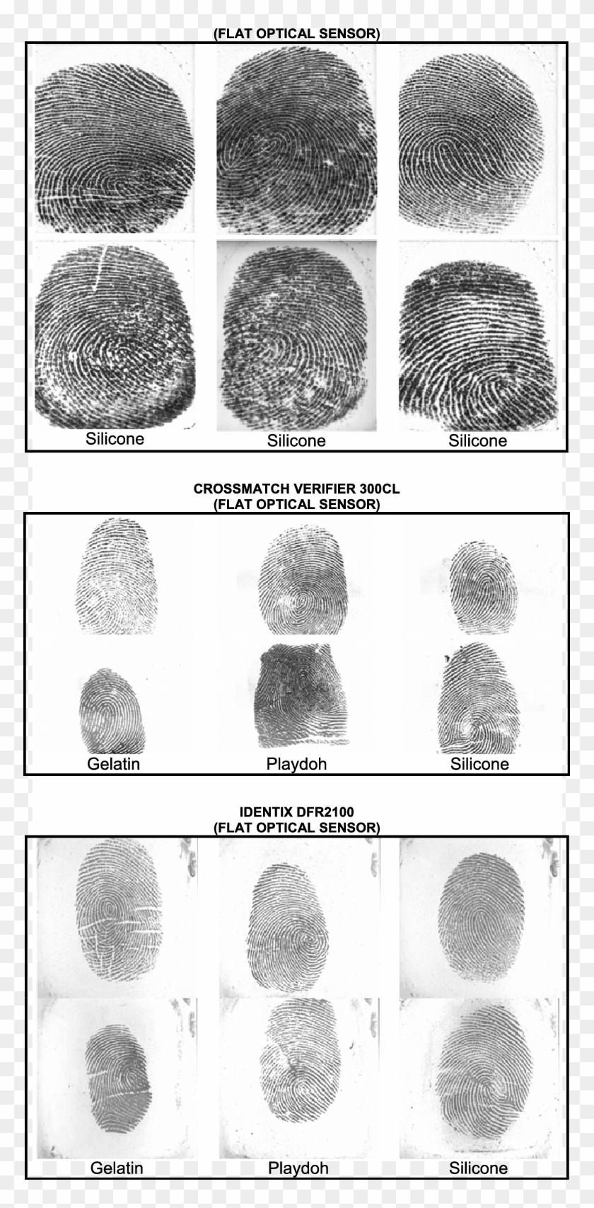 typical-examples-of-real-and-fake-fingerprint-images-real-fingerprint-samples-hd-png-download