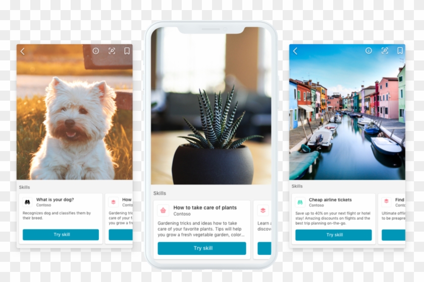 Microsoft Announced Bing Visual Search Last Year As - Bing Visual ...