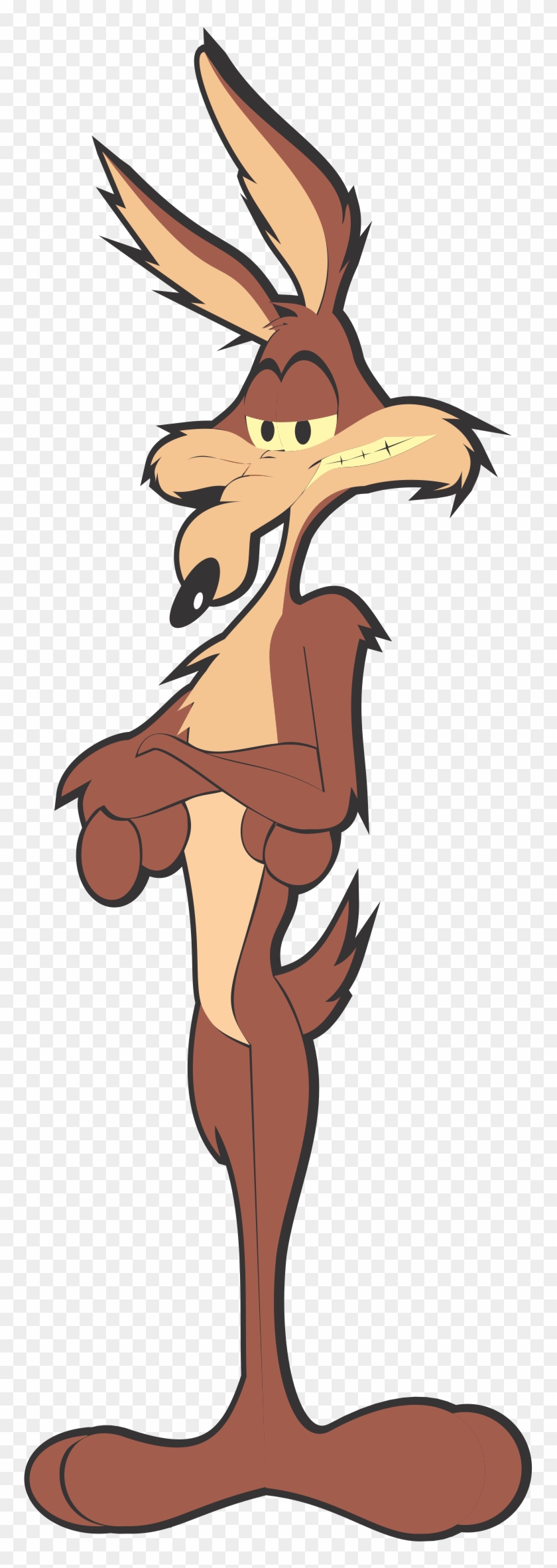 Coyote - Cartoon, HD Png Download - 767x2285(#6491561) - PngFind