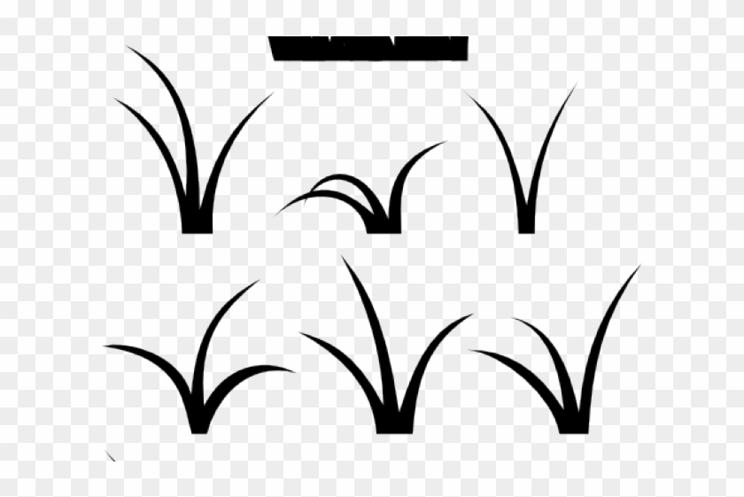 Drawn Grass Vector Cartoon - Patch Of Grass Vector, HD Png Download ...