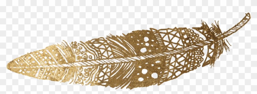Transparent Gold Feather Png, Png Download - 2298x737(#6527555) - PngFind