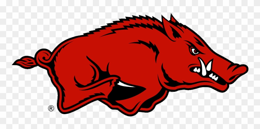 Hog Vector Skull - Arkansas Razorbacks Logo, HD Png Download - 800x800 ...