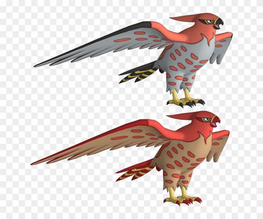 Download Zip Archive - Red Tailed Hawk Pokemon, HD Png Download ...