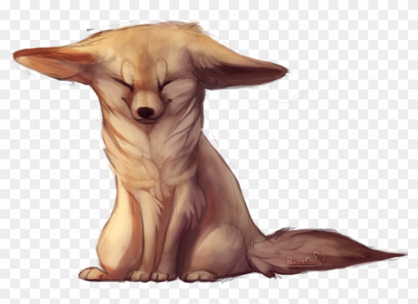 Fennec Fox Png - Fennec Fox No Background, Transparent Png - 846x576 ...