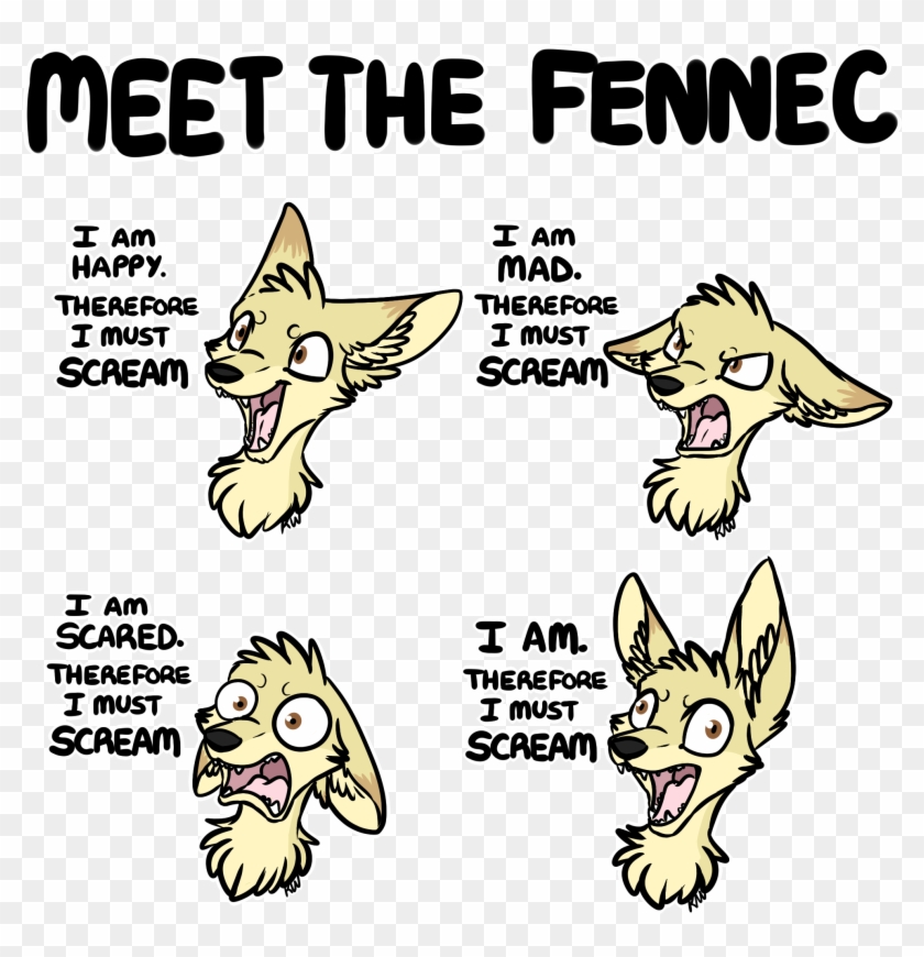 Meet The Fennec - Exist Therefore I Must Scream, HD Png Download ...