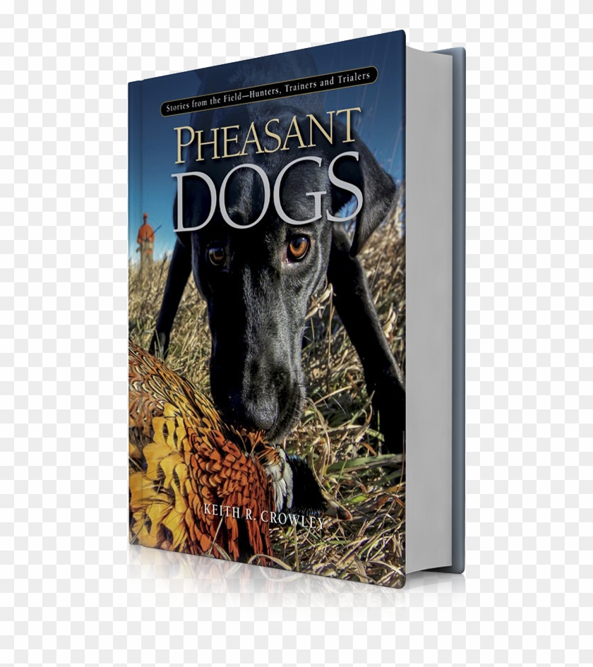 Duck Hunt Dog Png - Working Animal, Transparent Png - 481x865(#6554952 ...