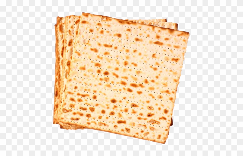 Matzah Png, Transparent Png - 600x548(#6596940) - PngFind