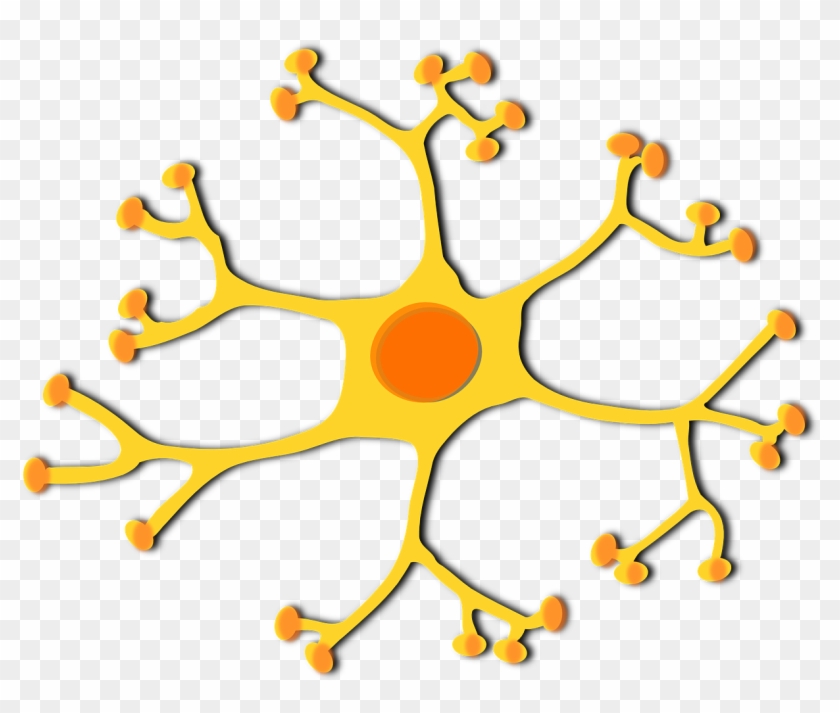 Brain Cell Clipart, HD Png Download - 1280x974(#6619903) - PngFind