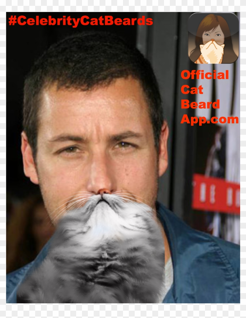 Adam Sandler With A Cat Beard - Adam Sandler, HD Png Download ...