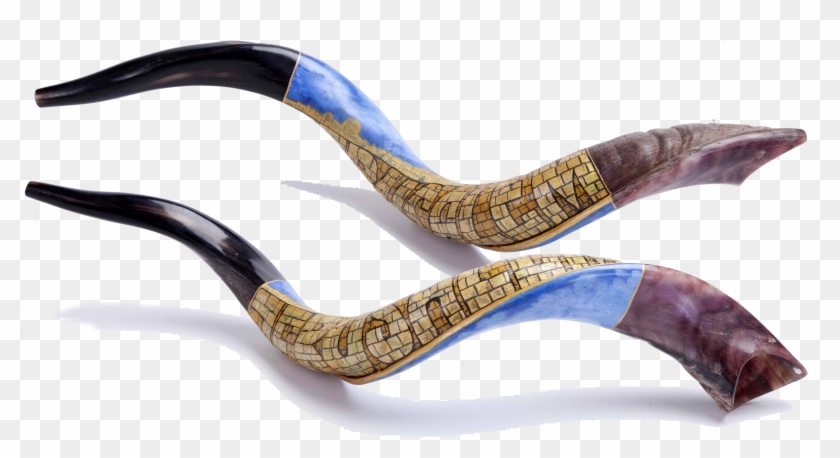 Shofar Png - Shofar Instruments Png, Transparent Png - 5616x3008 ...