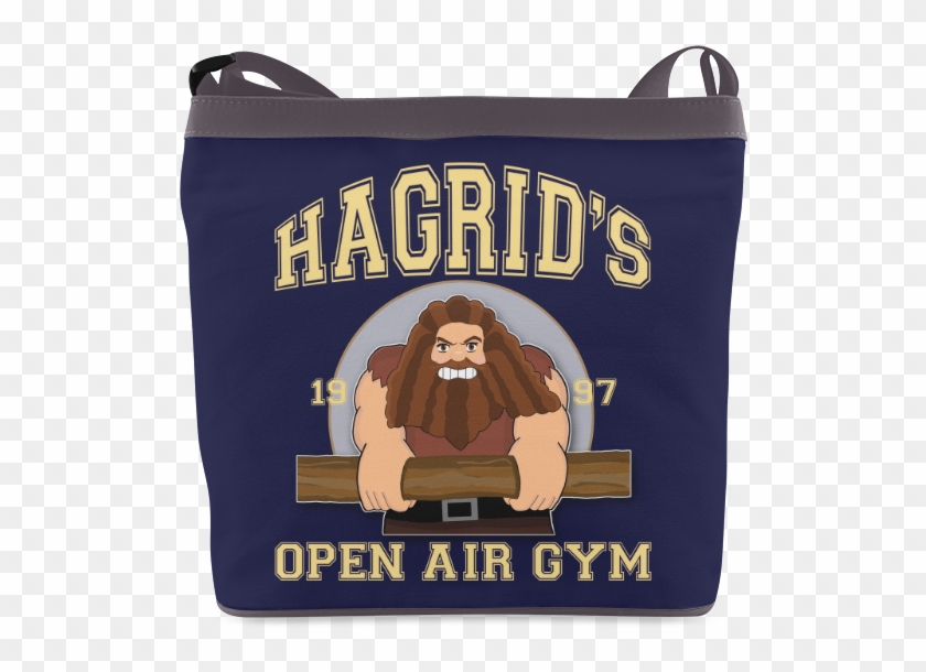 Bj Penn, HD Png Download - 800x800(#6641926) - PngFind