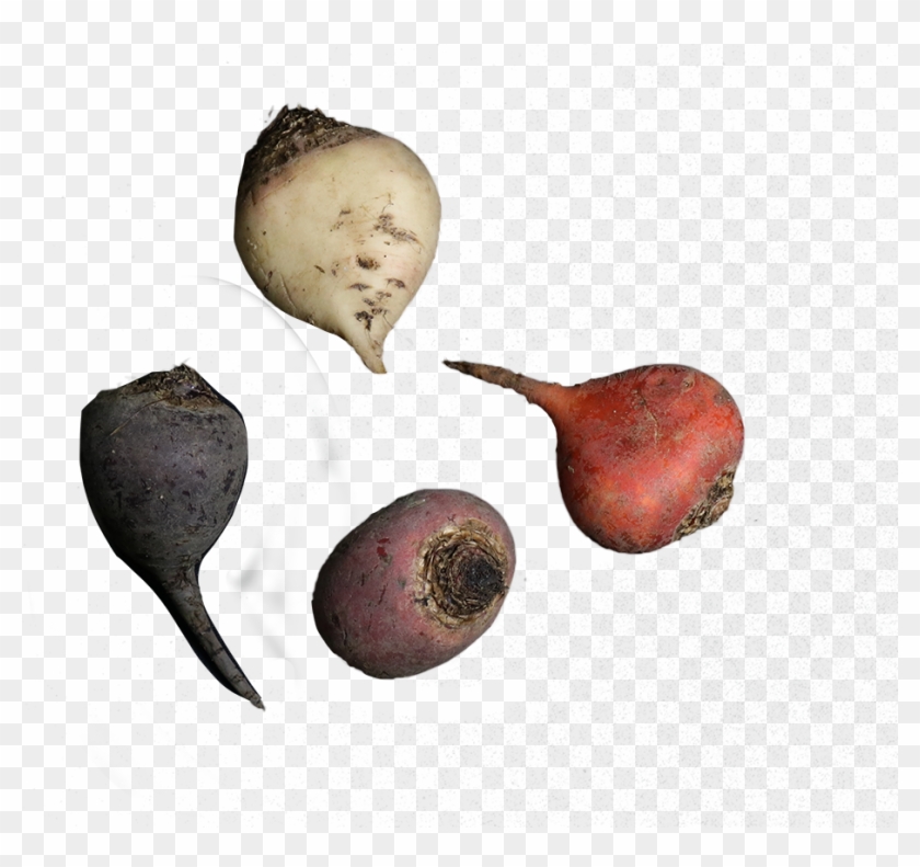Mini Beets - Beetroot, HD Png Download - 930x832(#6652087) - PngFind
