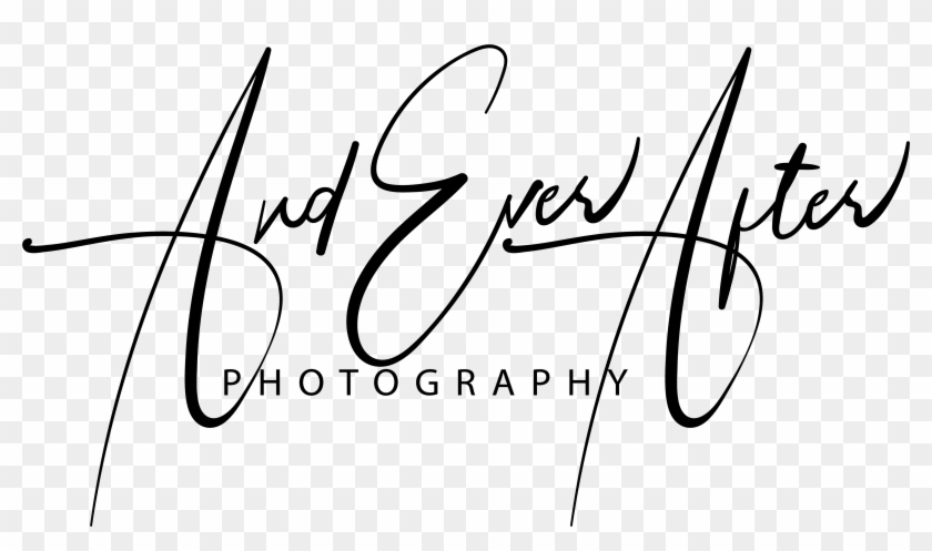 The Bellissimo Wedding Album - Calligraphy, HD Png Download - 8000x5333 ...