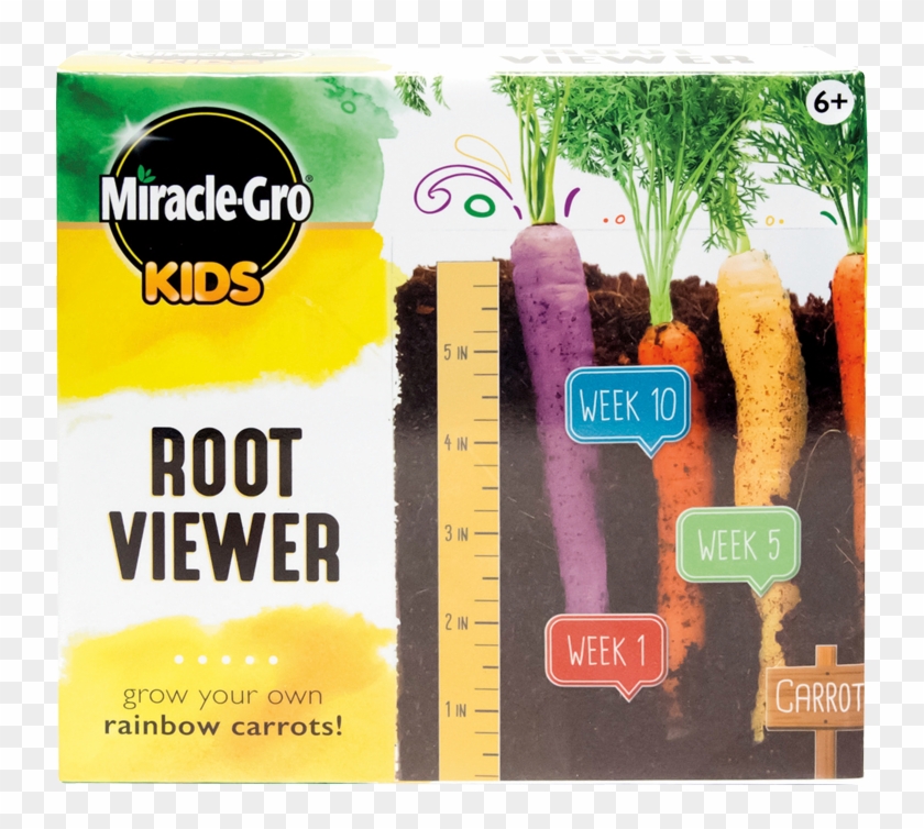 Miracle Gro Kids Watch It Grow, HD Png Download - 800x735(#6685880 ...