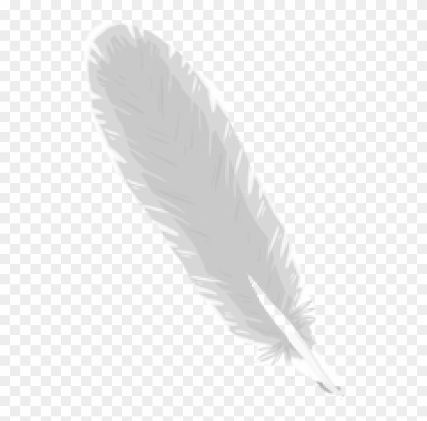Feather Logo Png Image Download - Moths And Butterflies, Transparent ...