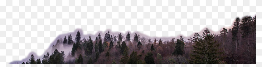 Nature Images Png Effect, Transparent Png - 1920x904(#6706710) - PngFind