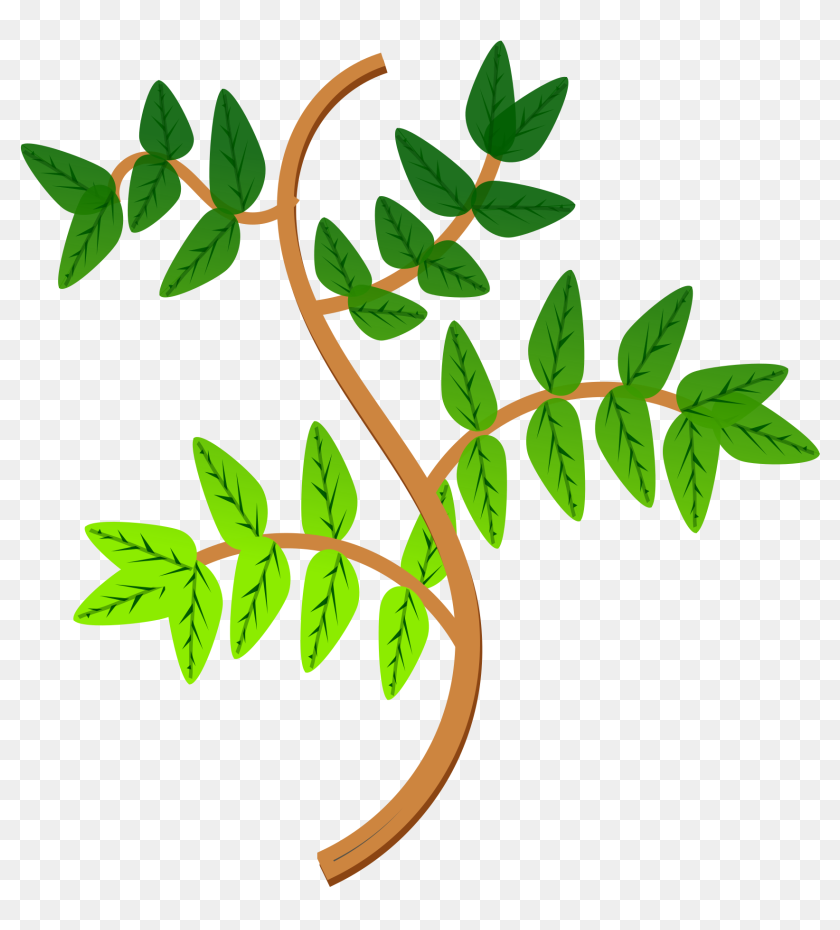 Leaves And Branches Icons - Transpiration Gcse, HD Png Download ...