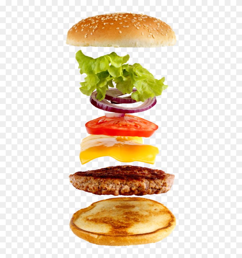 Layers Of A Hamburger, HD Png Download - 400x830(#6727843) - PngFind Layers Of A Hamburger, HD Png Download - 400x830(#6727843) - PngFind