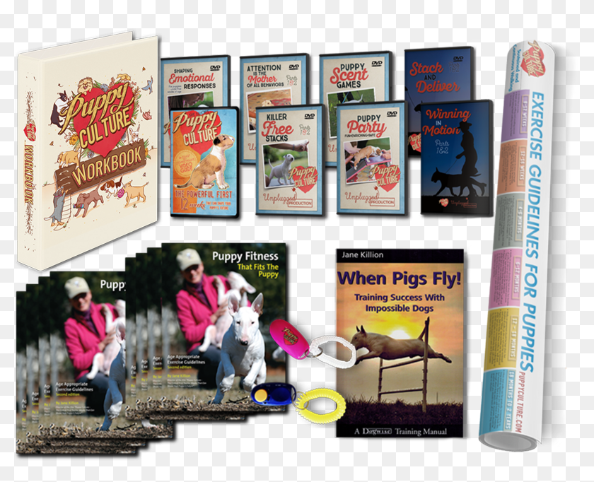 Expand Dong Png, Transparent Png - 4000x3060(#6738315) - PngFind