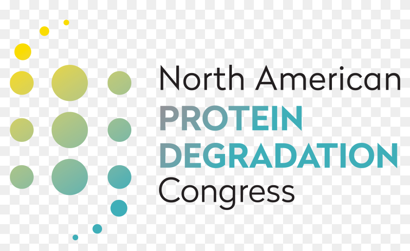 Img_4288 Png, Transparent Png - 2997x1686(#6741978) - PngFind